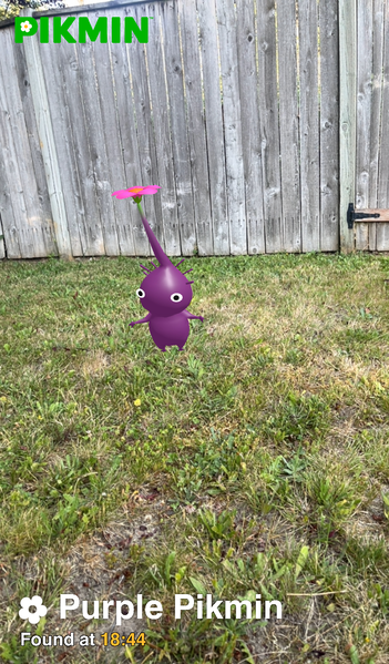 File:Pikmin Finder Purple Pikmin.png - Pikipedia, the Pikmin wiki
