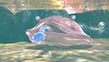 Toady Bloyster - Pikipedia, the Pikmin wiki