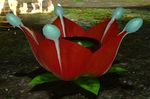 Candypop family - Pikipedia, the Pikmin wiki