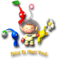 Pikmin family - Pikipedia, the Pikmin wiki