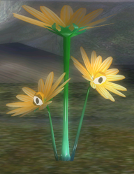 Creeping Chrysanthemum - Pikipedia, the Pikmin wiki