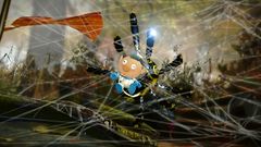 Arachnode - Pikipedia, the Pikmin wiki